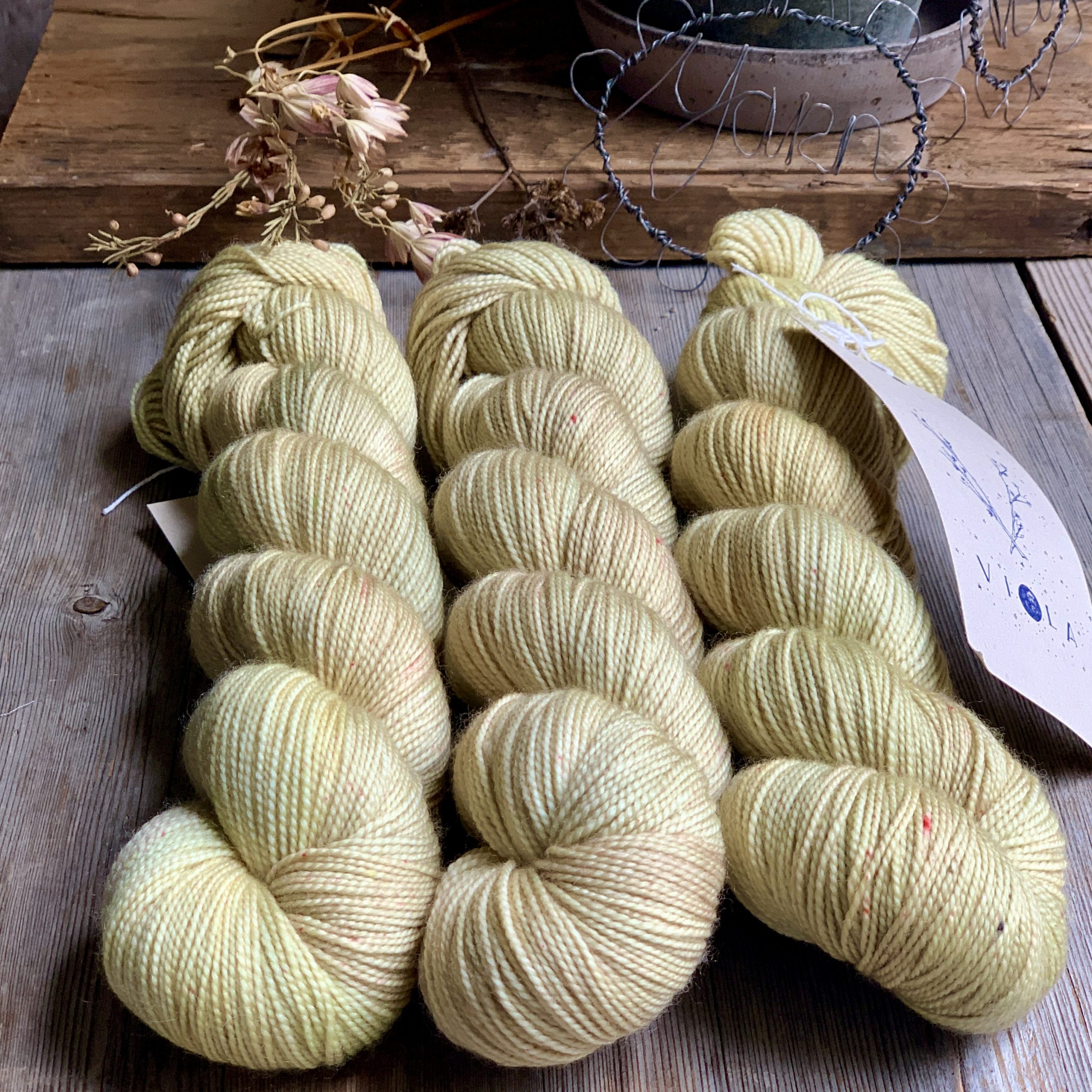 Poplar Viola at Loop London – LoopKnitlounge
