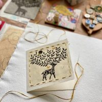 Dreaming with Dee Hardwicke: A Butterfly Wrap, a Brand New Book, and a ...